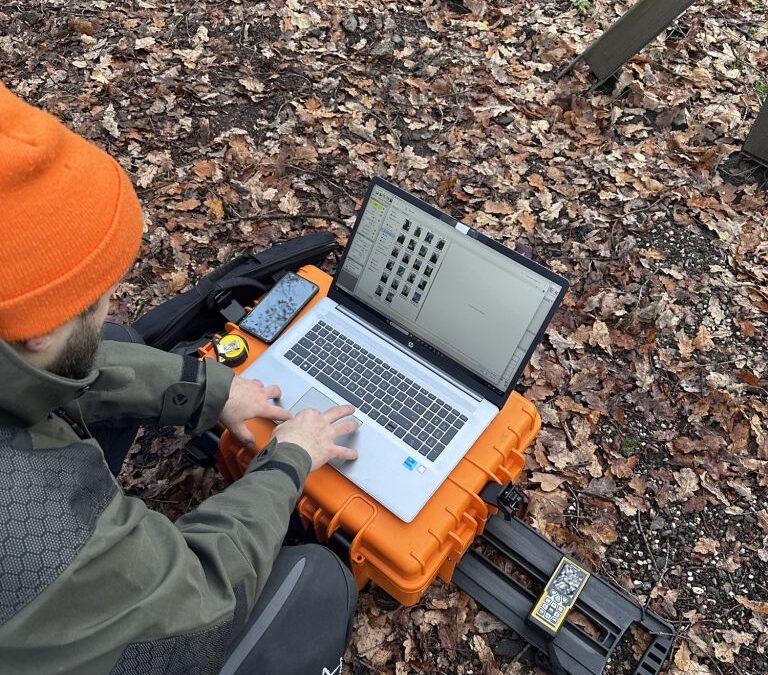 Zugversuche an Naturdenkmälern - Grüner Zweig GmbH